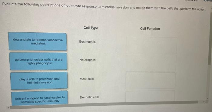 Solved Suomet Evaluate the following descriptions of | Chegg.com
