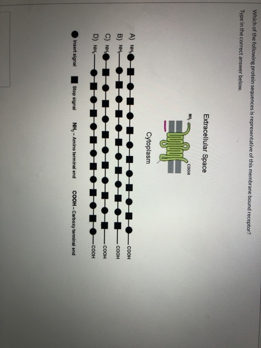 Solved You are trying to study the ability of the ER to sort | Chegg.com