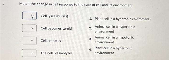 Solved Match the change in cell response to the type of cell | Chegg.com