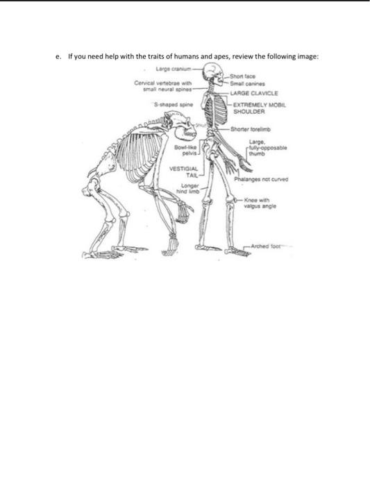 Ant 2000 Introductory Anthropology Activity Why