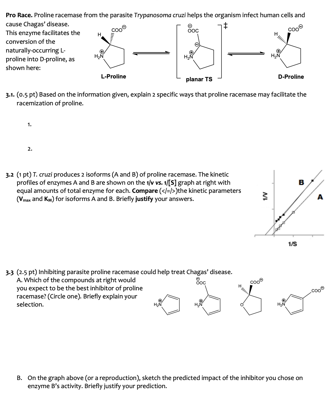 Solved Proline racemase from the parasite Trypanosoma cruzi | Chegg.com