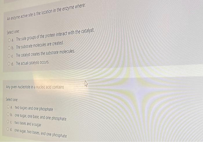 Solved An enzyme active site is the location in the enzyme | Chegg.com