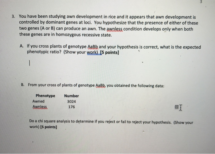Solved 3 3. You have been studying awn development in rice | Chegg.com