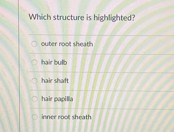 Which structure is highlighted? outer root sheath | Chegg.com