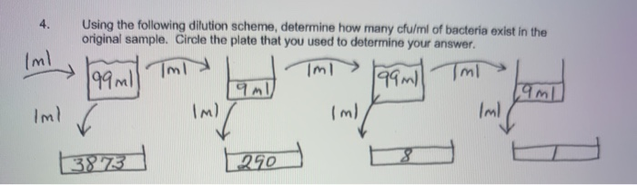 Solved 4. Using the following dilution scheme, determine how | Chegg.com