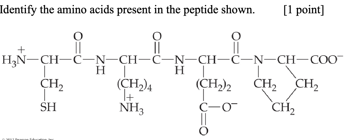 Solved Identify the amino acids present in the peptide | Chegg.com