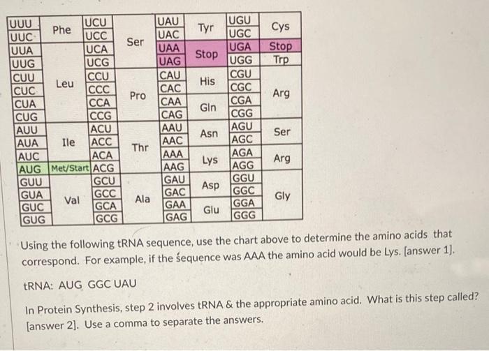 Solved Using the following tRNA sequence, use the chart | Chegg.com
