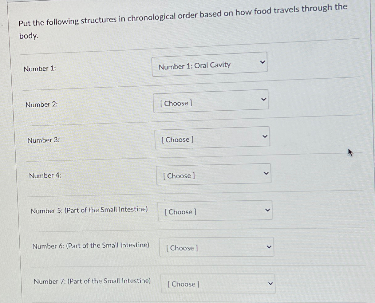 Solved Put the following structures in chronological order | Chegg.com