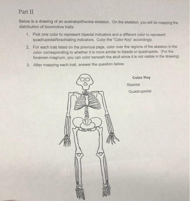 Solved Australopithecine Locomotion Worksheet Part I In this | Chegg.com
