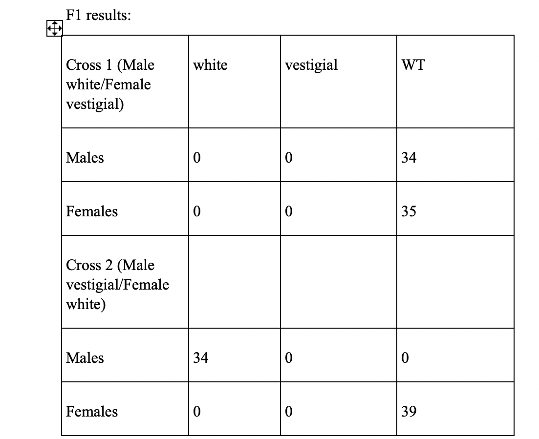 Solved If you performed a fruit fly cross of white crossed | Chegg.com
