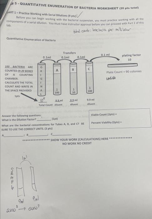 Solved A 5 - QUANTITATIVE ENUMERATION OF BACTERIA WORKSHEET | Chegg.com