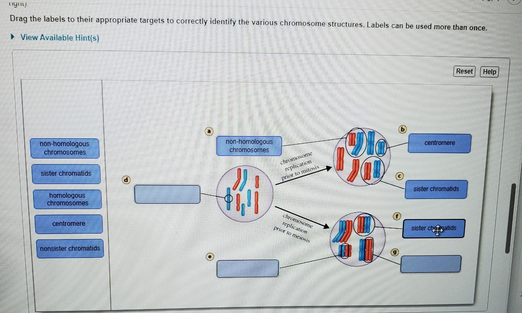 Solved Drag the labels to their appropriate targets to | Chegg.com
