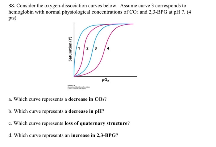 Solved 38. Consider the oxygen-dissociation curves below. | Chegg.com
