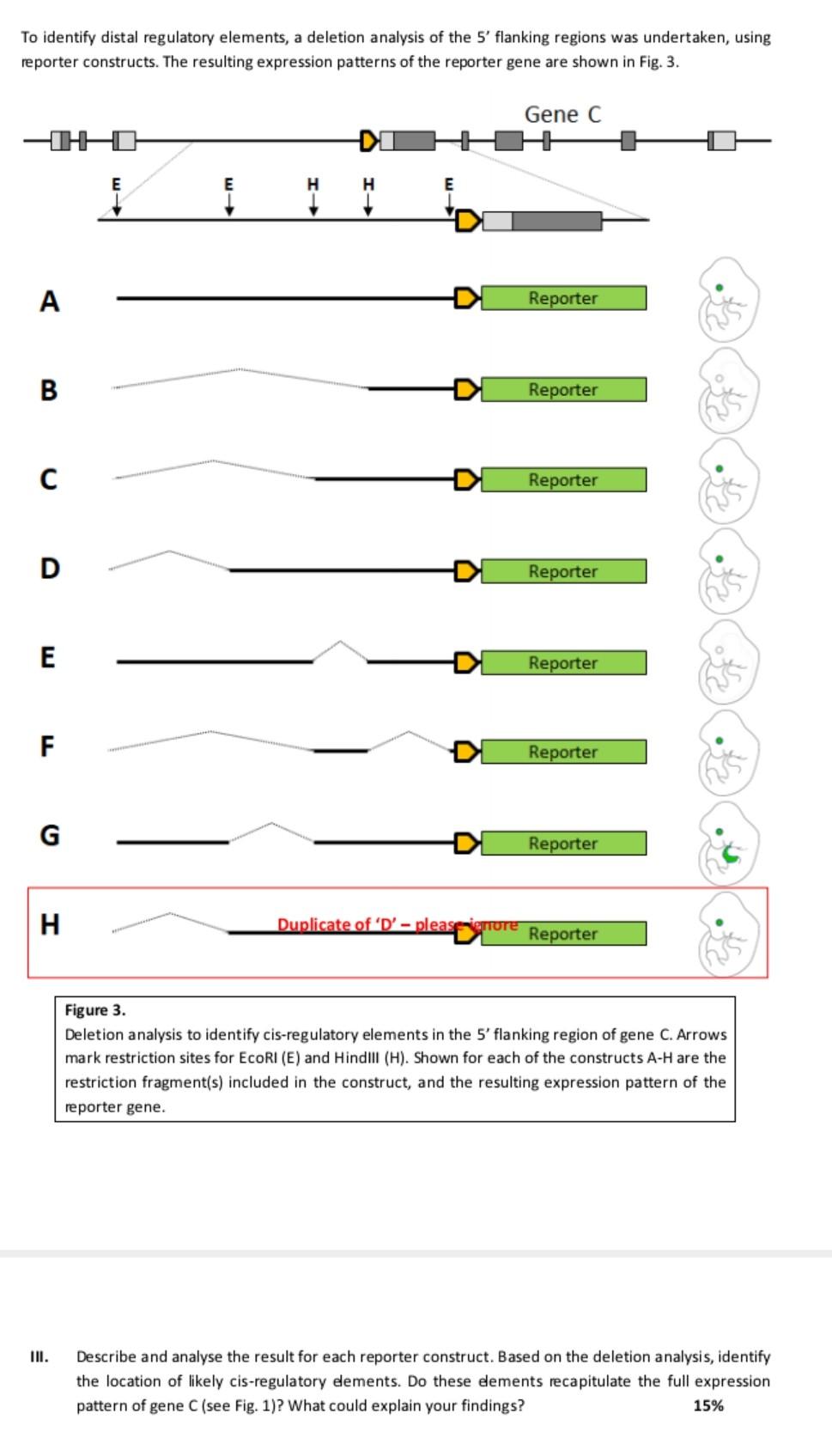 Solved To identify distal regulatory elements, a deletion | Chegg.com