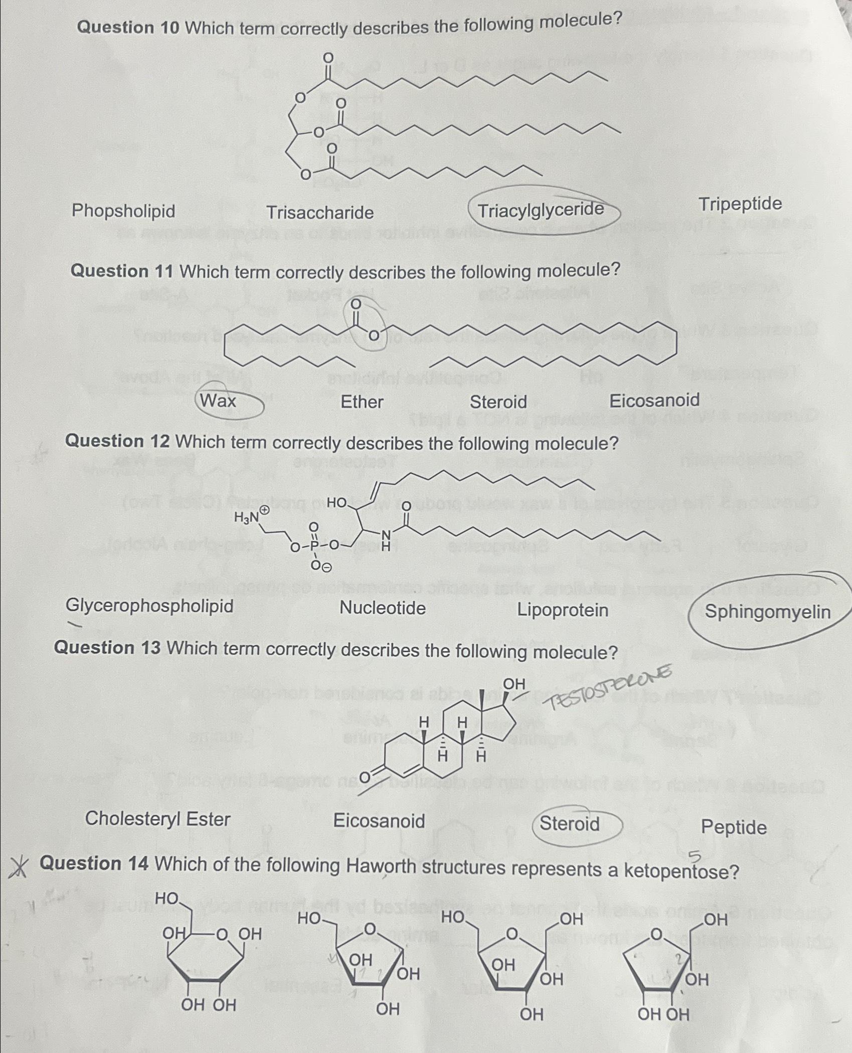 Solved Question 10 ﻿Which term correctly describes the | Chegg.com