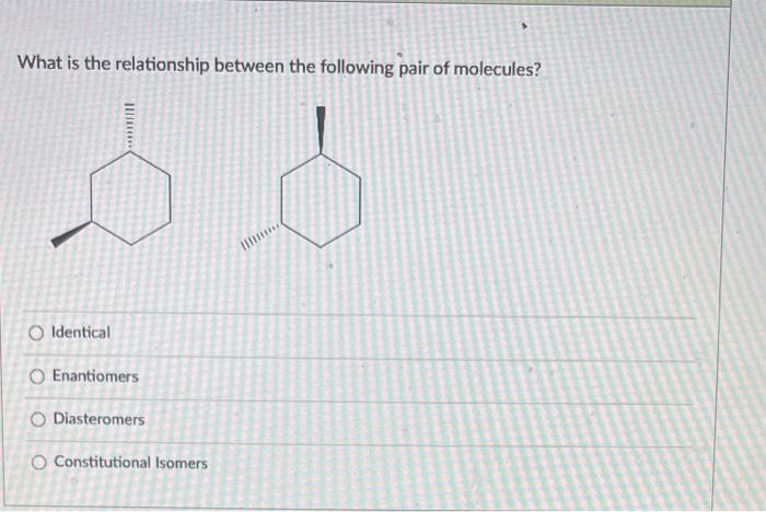 Solved What is the relationship between the following pair | Chegg.com