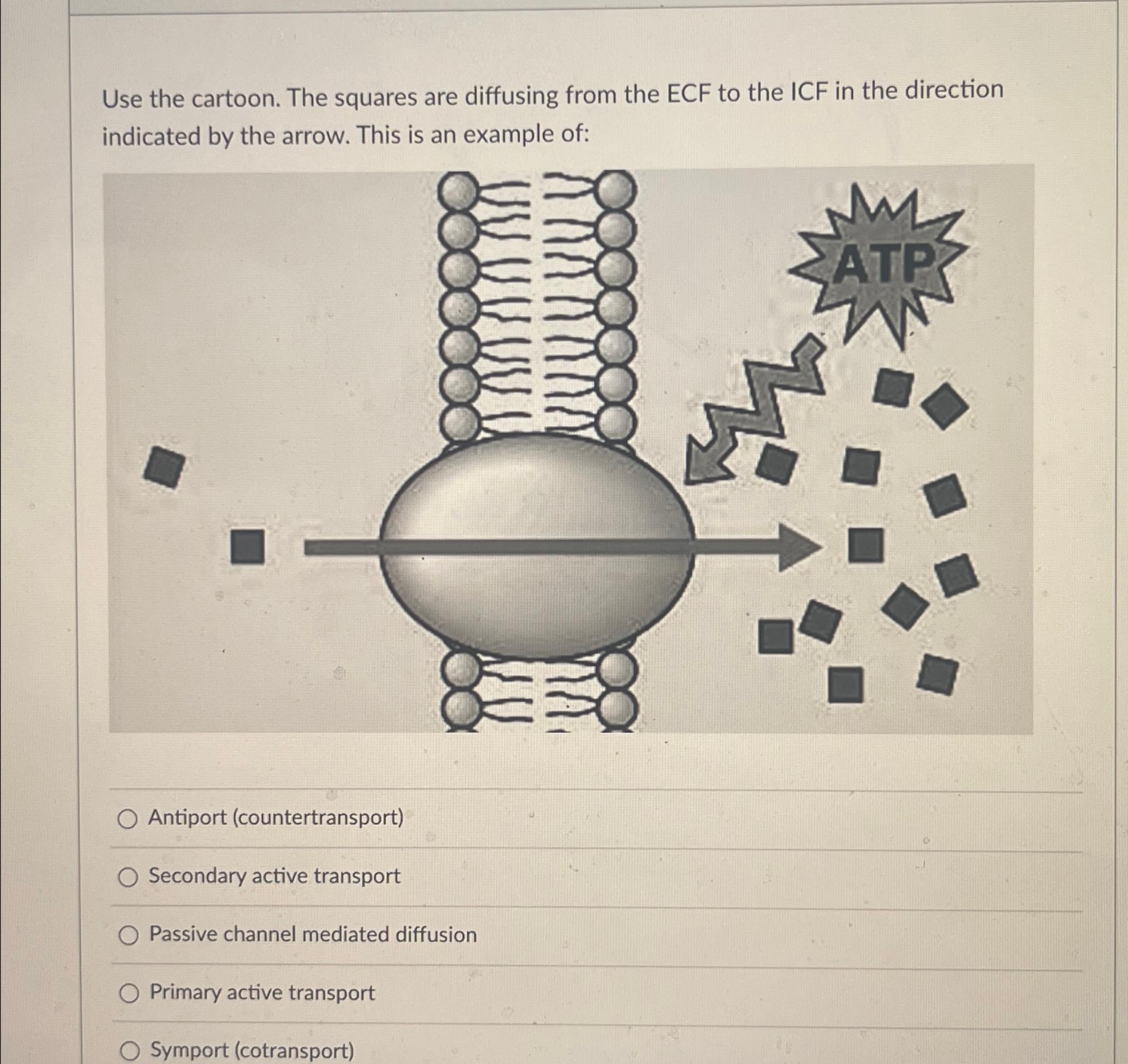 Solved Use the cartoon. The squares are diffusing from the | Chegg.com