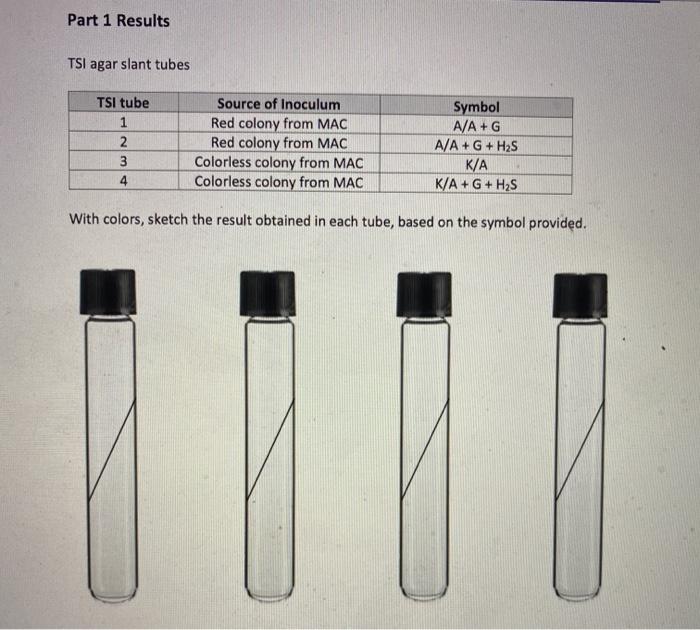 Solved Part 1 Results TSI agar slant tubes TSI tube 1 2 3 4 | Chegg.com