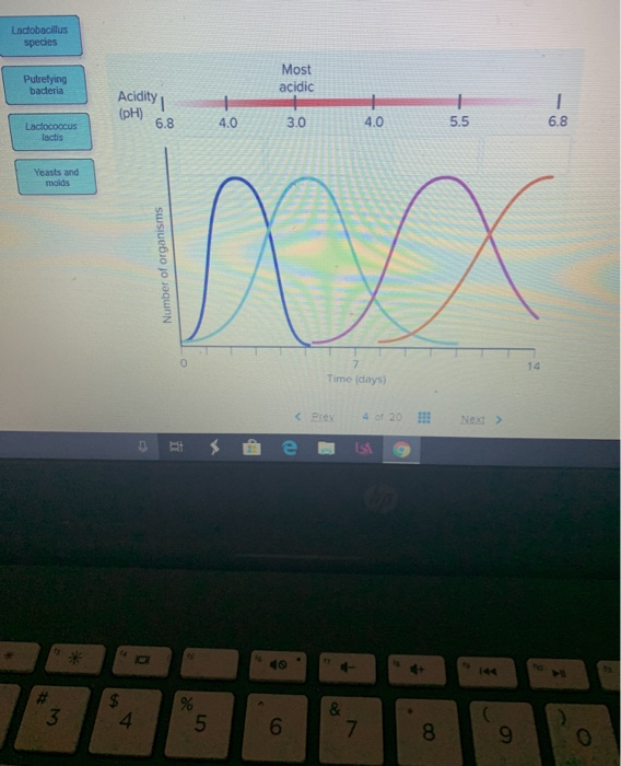 Lactobacillus species Putrefying bacteria Most acidic | Chegg.com