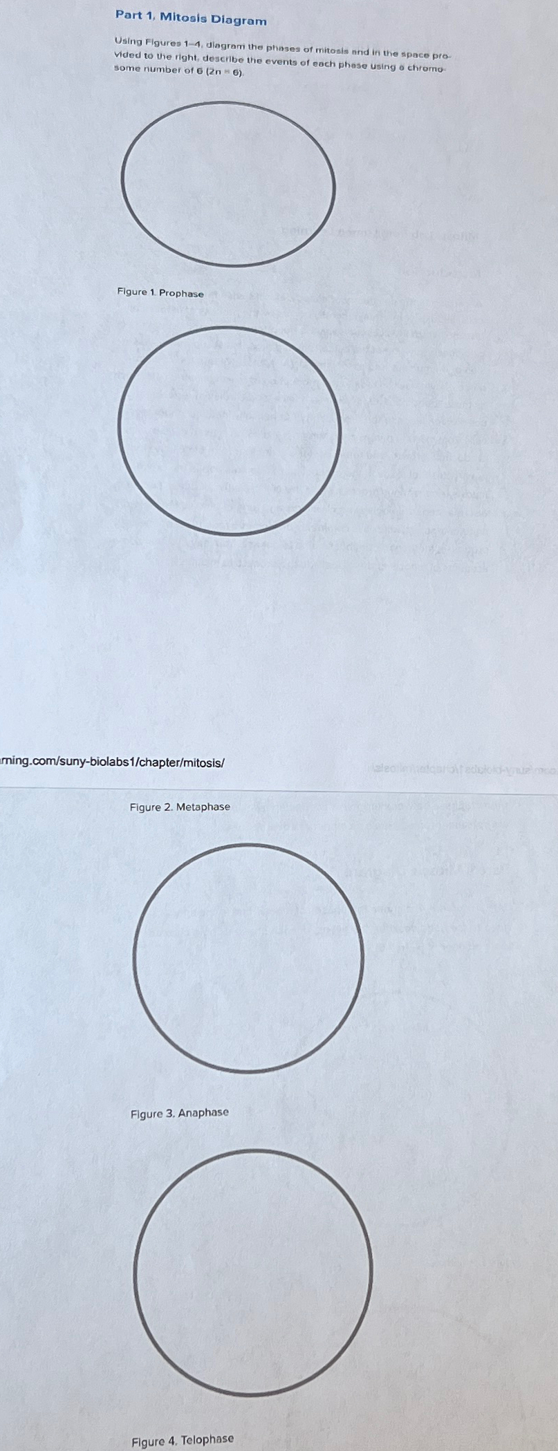 Solved Part 1, ﻿Mitoais DiagramUsing Figures 1-4, ﻿diagram | Chegg.com