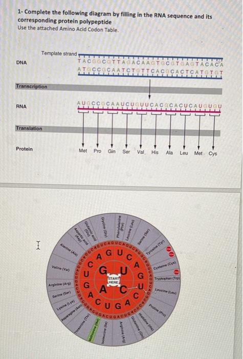 Solved 1- Complete the following diagram by filling in the | Chegg.com