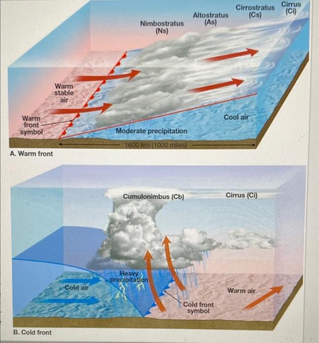 Solved FIGURE 15.3 Stages in the formation of an occluded | Chegg.com