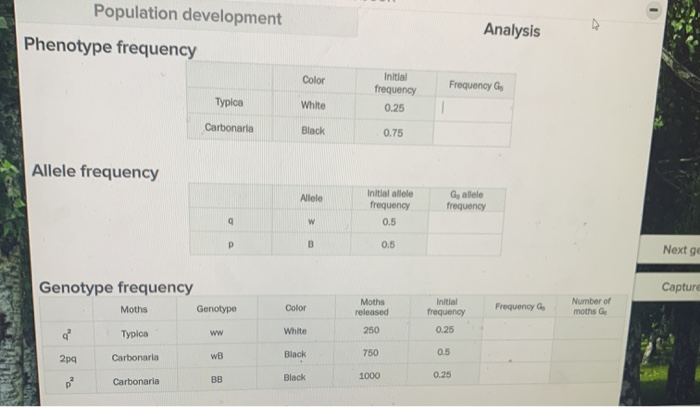 Population development Phenotype frequency Analysis | Chegg.com