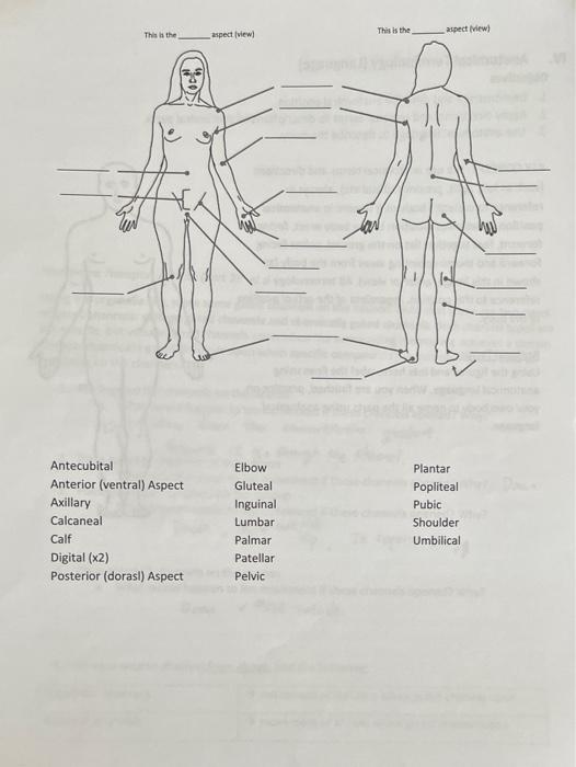 Solved This is the aspect view aspect view) This is the | Chegg.com