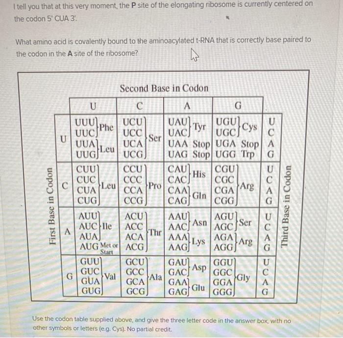 Solved Below is part of the coding strand of a eukaryotic | Chegg.com