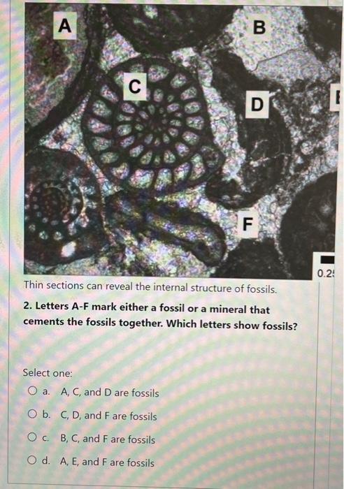 Solved Inin sections can reveal the internal structure of | Chegg.com
