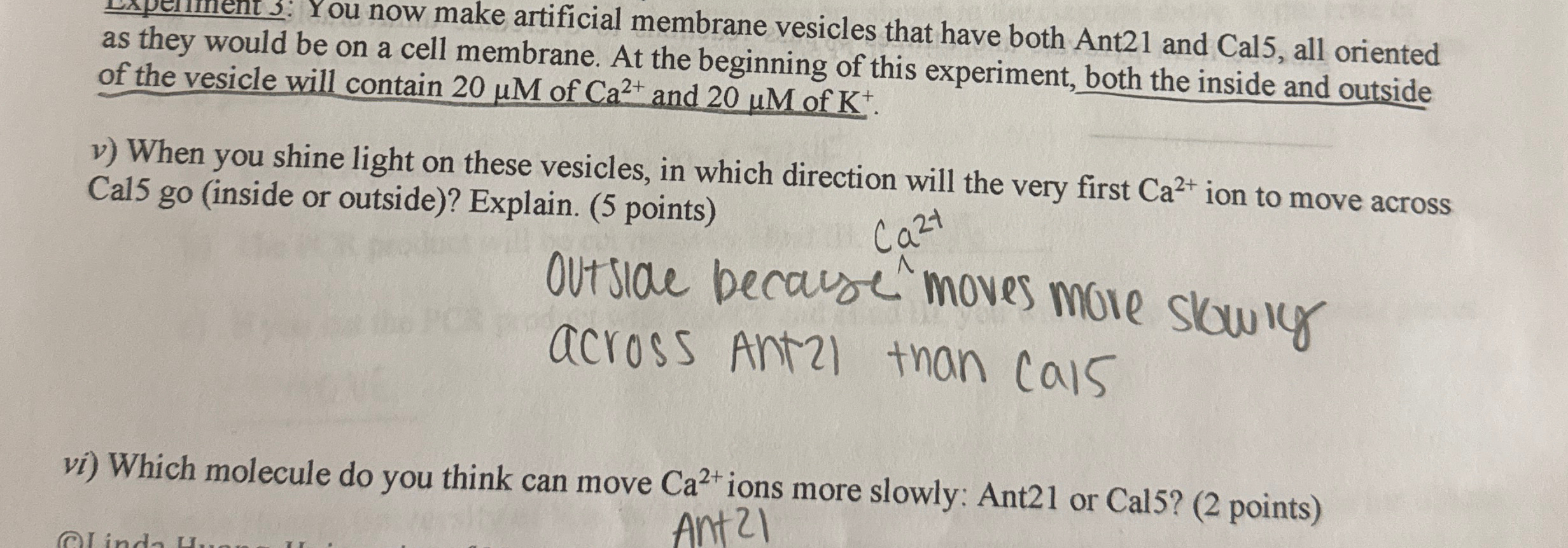 Solved You now make artificial membrane vesicles that have | Chegg.com