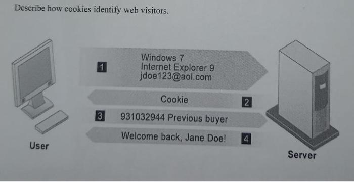 Solved Describe how cookies identify web visitors. | Chegg.com