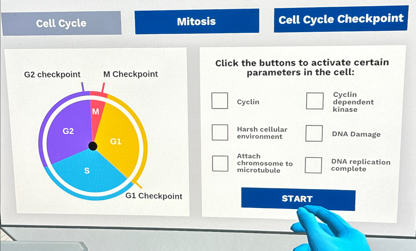 Solved Cell cycleMitosisClick the buttons to activate | Chegg.com