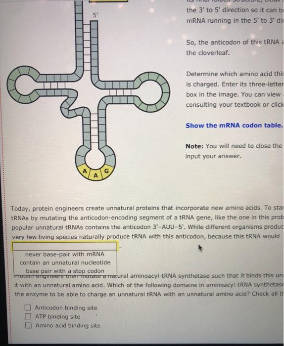 Solved 4. Charging a tRNA Aa Aa Like proteins, tRNAs are | Chegg.com
