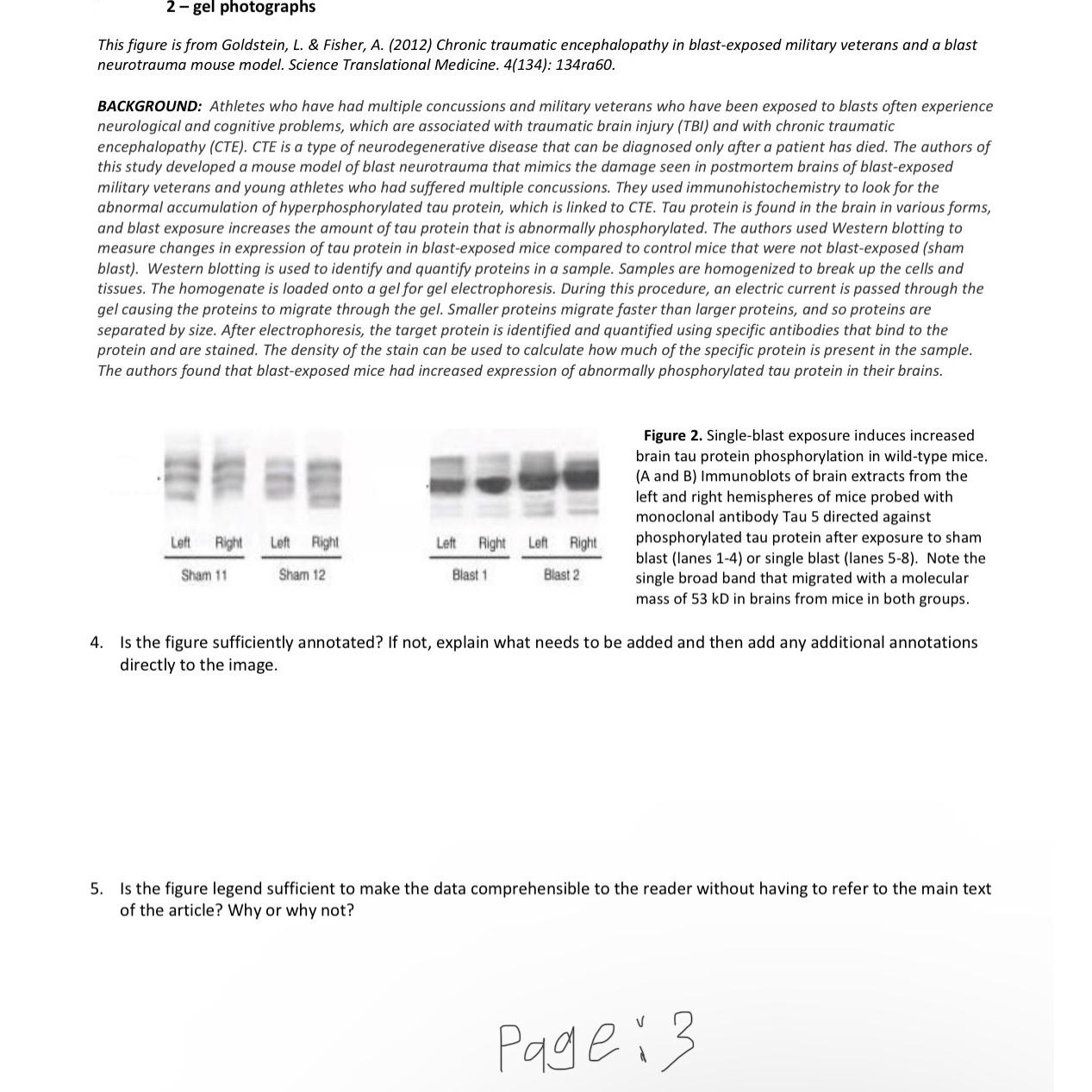 Solved 2-gel photographsThis figure is from Goldstein, L. ﻿& | Chegg.com