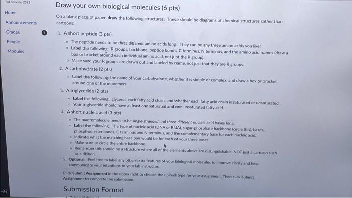 Solved Draw your own biological molecules (6 pts) On a blank | Chegg.com