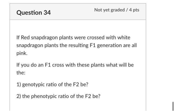Solved Question 32 Not yet graded / 4 pts For this question | Chegg.com