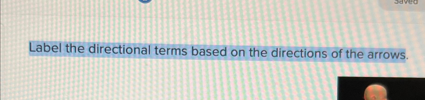 Label the directional terms based on the directions | Chegg.com