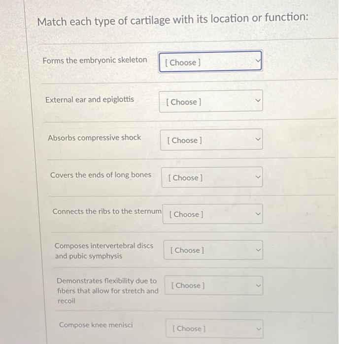 Solved Match each type of cartilage with its location or | Chegg.com