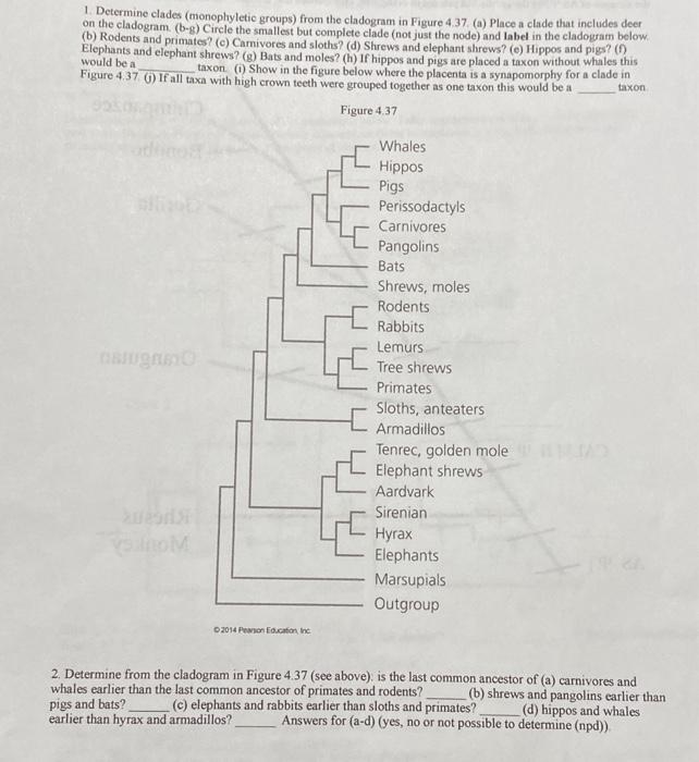 Solved 1. Determine clades (monophyletic groups) from the | Chegg.com
