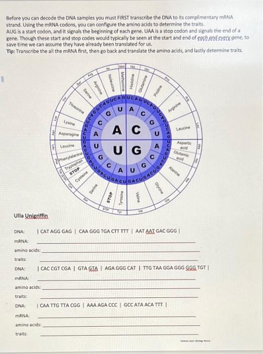 Solved Before you can decode the DNA samples you must | Chegg.com