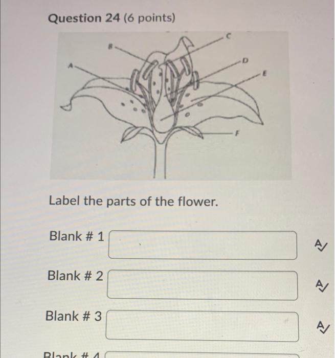 Solved Question 24 (6 points) D Label the parts of the | Chegg.com