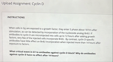 Solved Upload Assignment: Cyclin DINSTRUCTIONSWhen cells in | Chegg.com