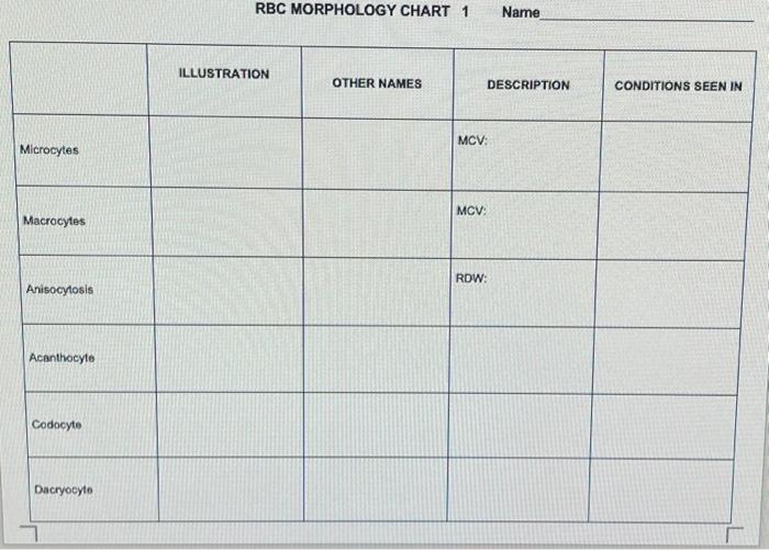 Solved RBC MORPHOLOGY CHART 1 Name | Chegg.com
