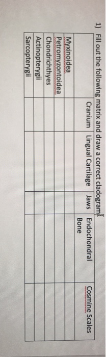 Solved Cosmine Scales 1) Fill out the following matrix and | Chegg.com