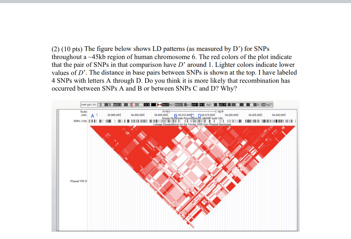 Solved (2) (10 ﻿pts) ﻿The figure below shows LD patterns (as | Chegg.com