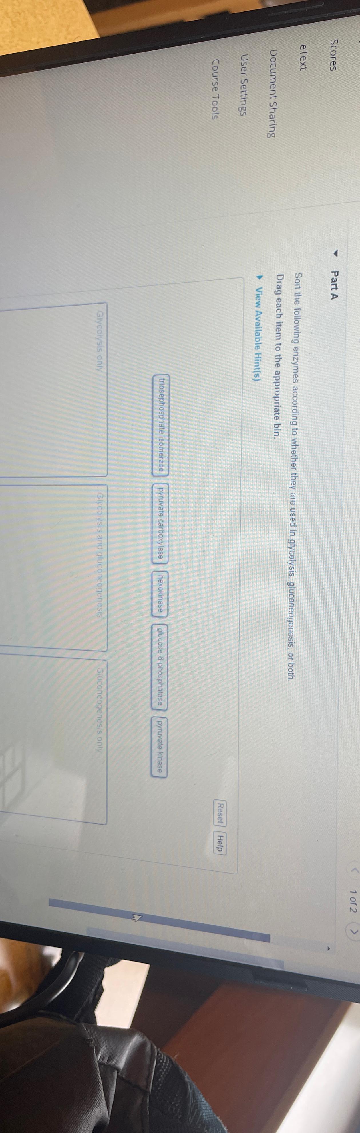Solved ScoresPart AeTextSort the following enzymes according | Chegg.com