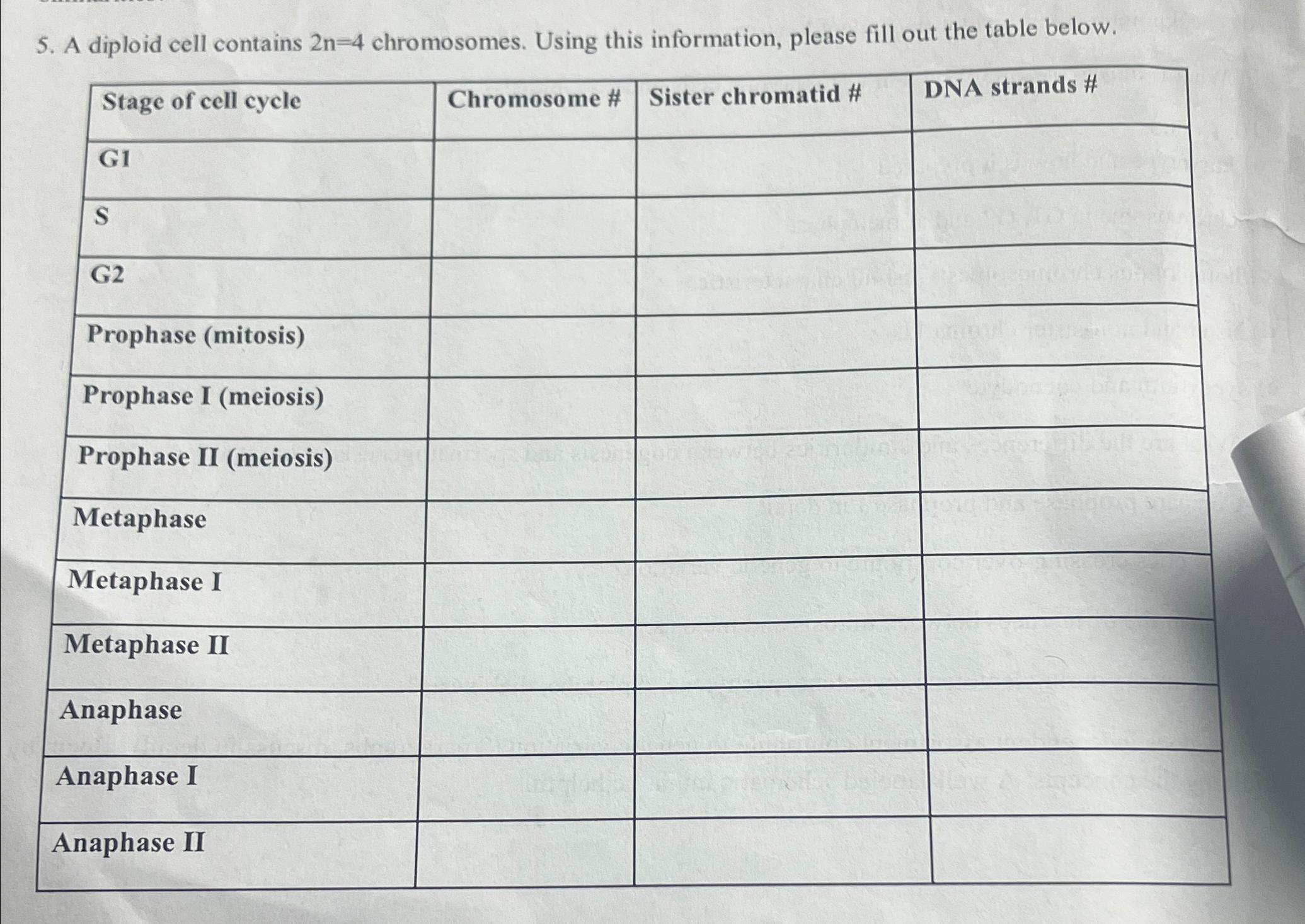 Solved A diploid cell contains 2n=4 chromosomes. Using this | Chegg.com