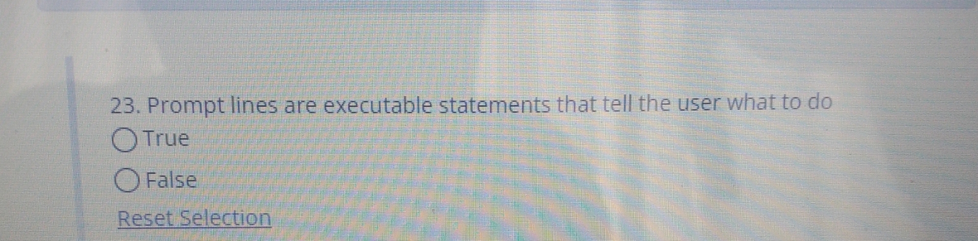 Solved Prompt lines are executable statements that tell the | Chegg.com