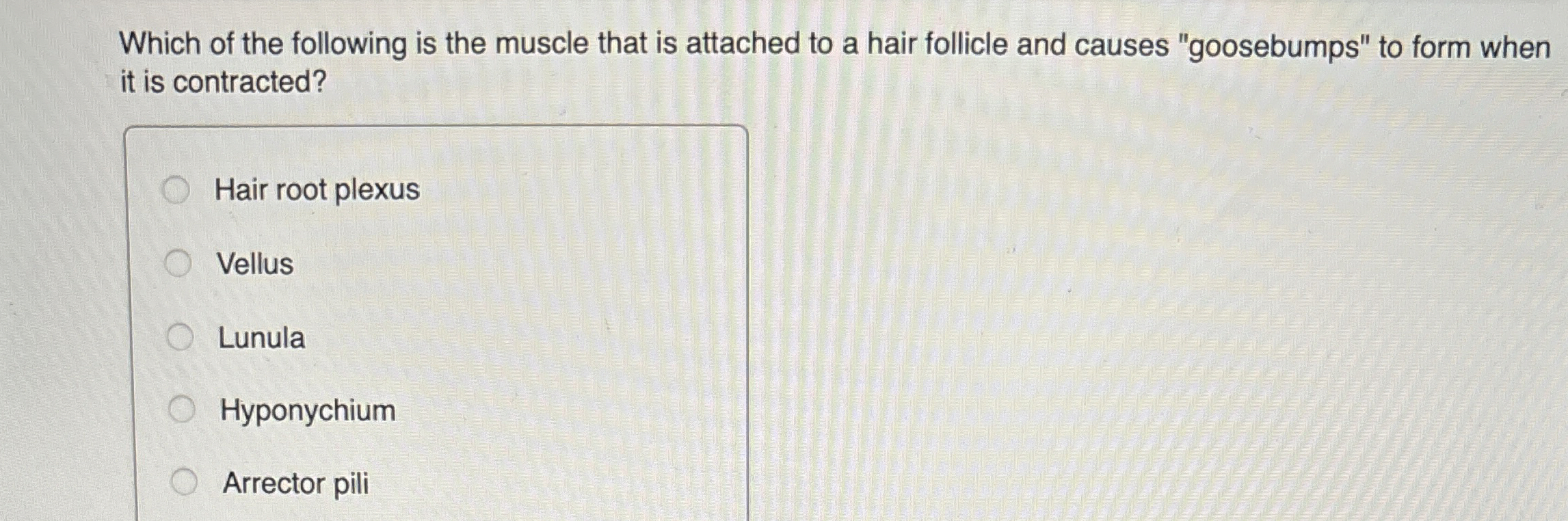 Solved Which of the following is the muscle that is attached | Chegg.com